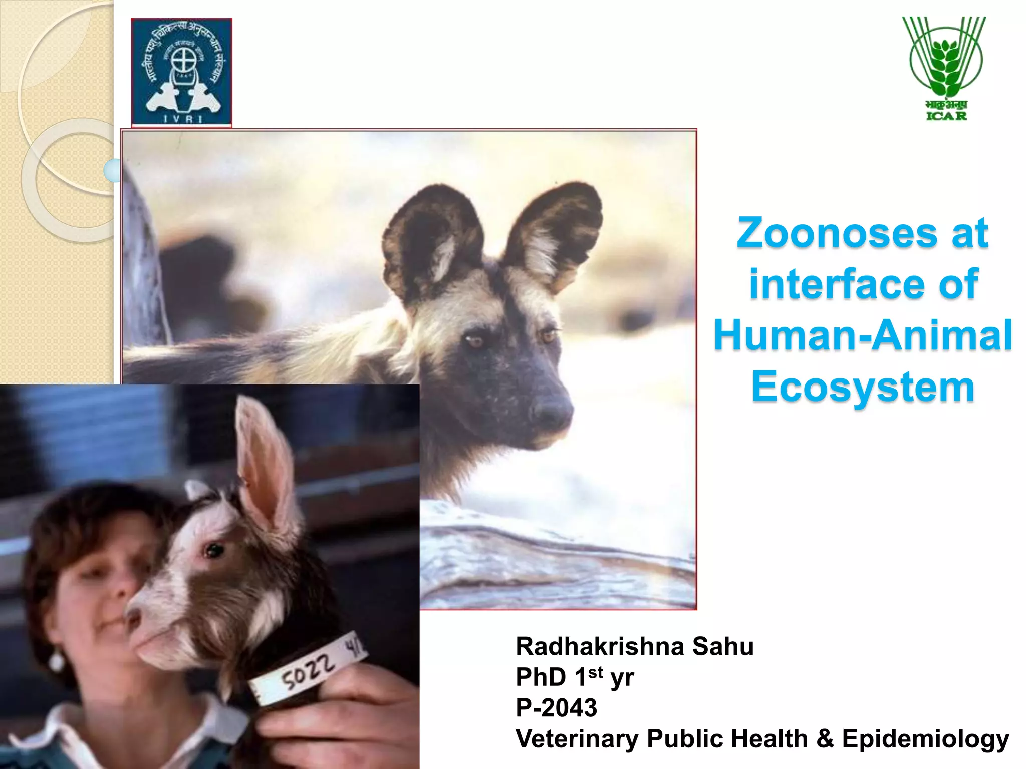 Zoonoses at interface of human animal ecosystem | PPTX