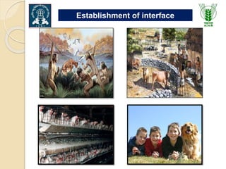 Zoonoses at interface of human animal ecosystem | PPTX
