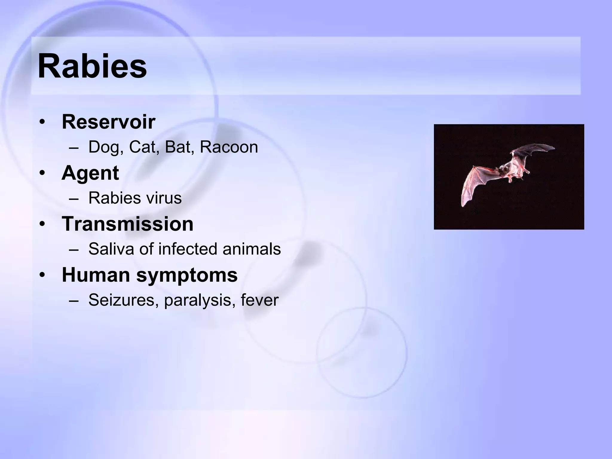 Zoonosis | PPT