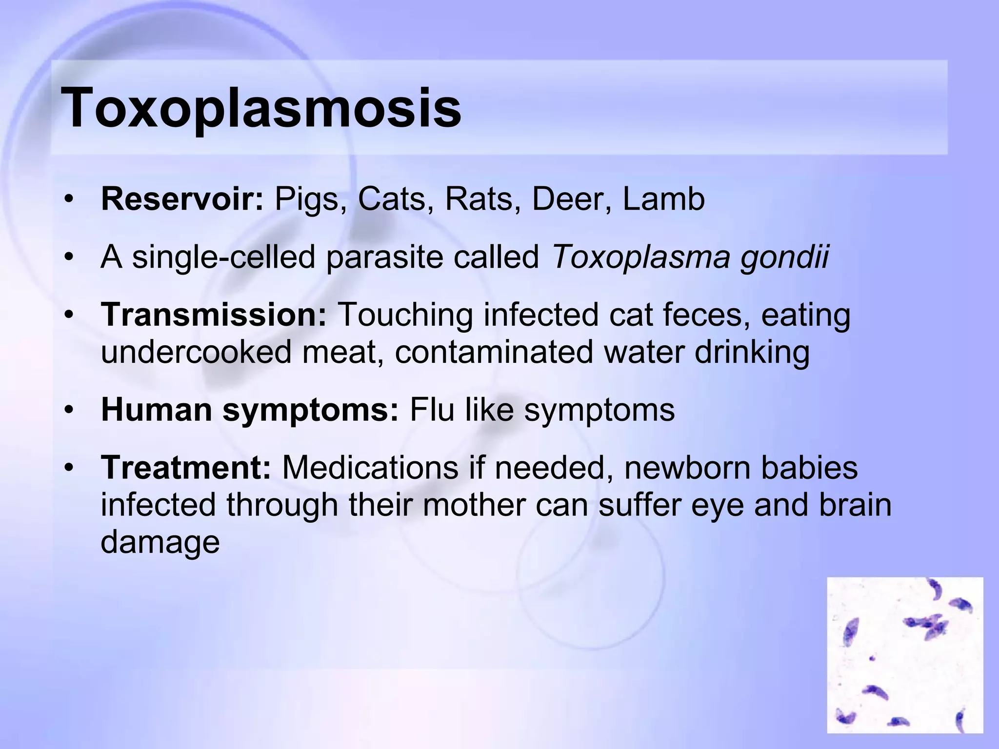 Zoonosis | PPT