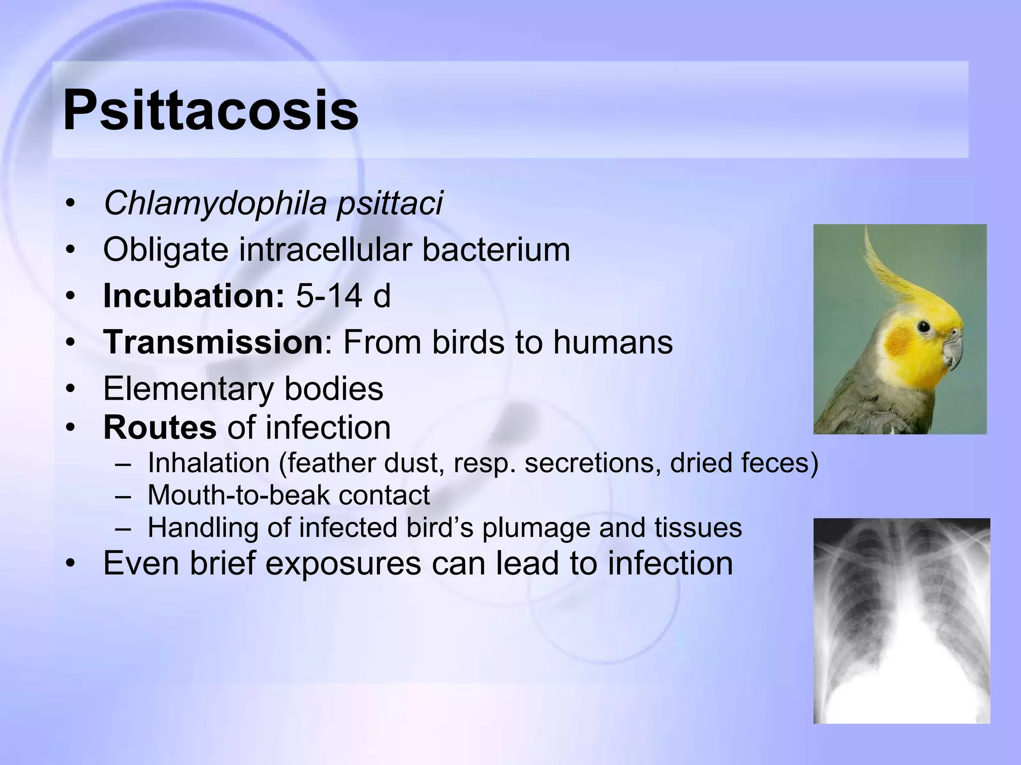 Zoonosis | PPT