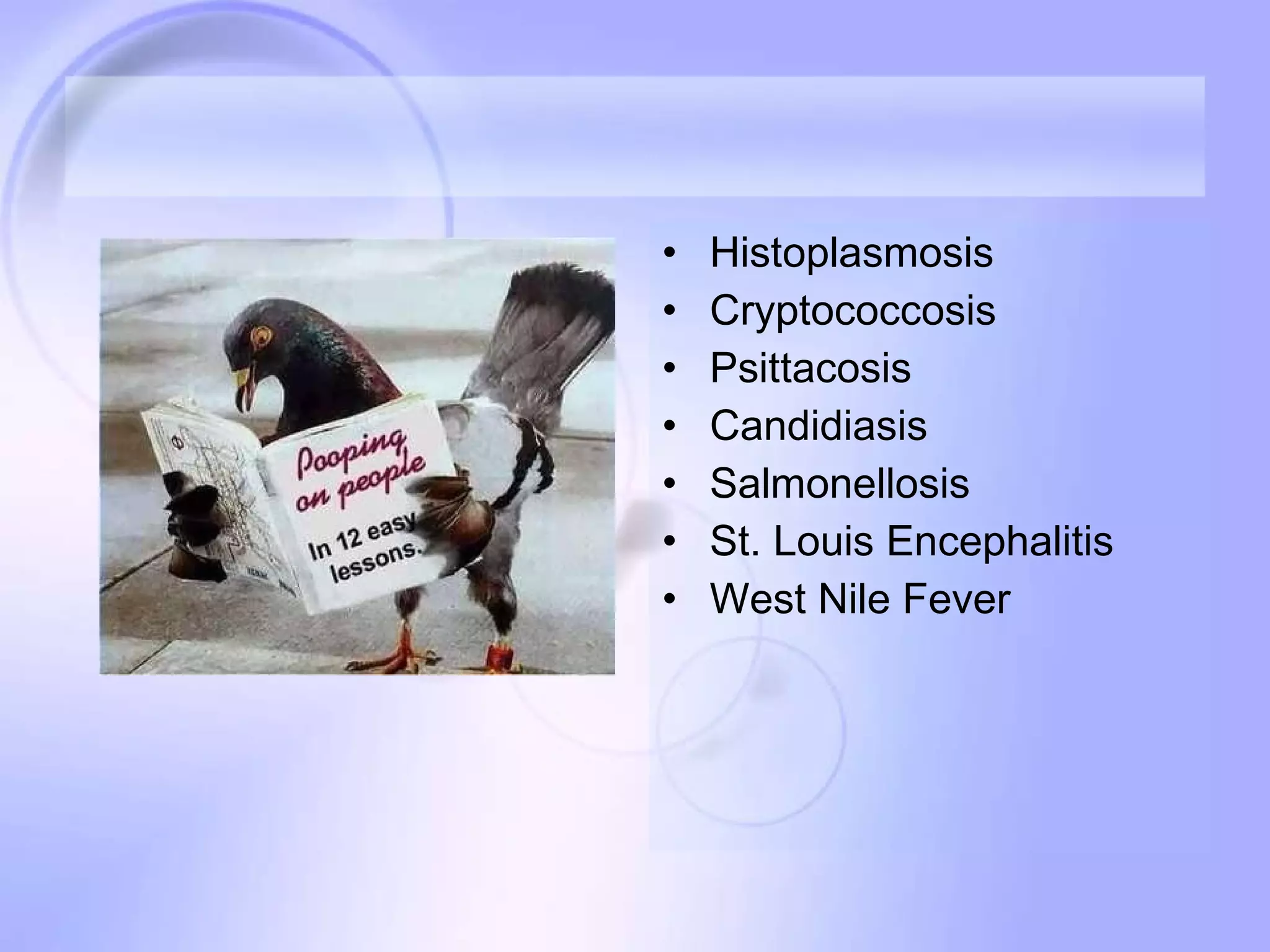 Zoonosis | PPT
