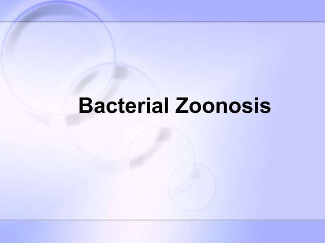 Zoonosis | PPT