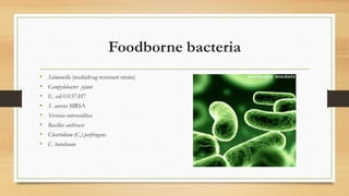 Zoonosis, its types and food borne zoonosis | PPTX