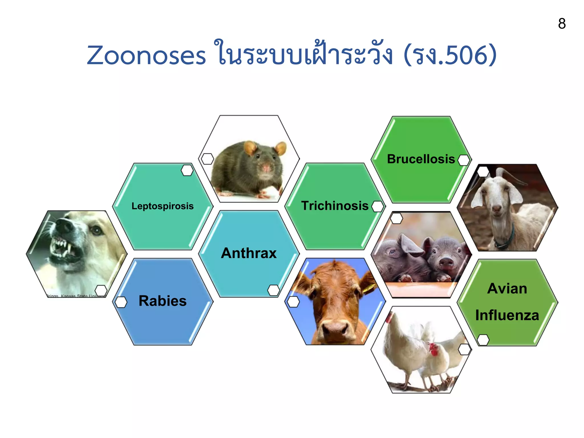 Zoonosis | PPT