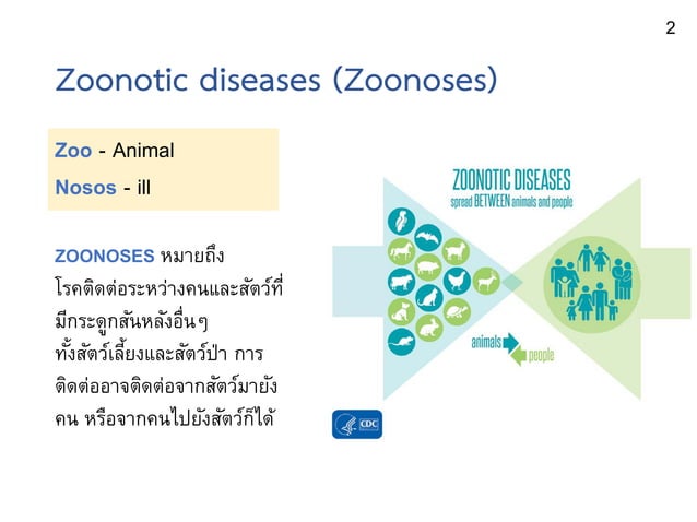Zoonosis | PPT