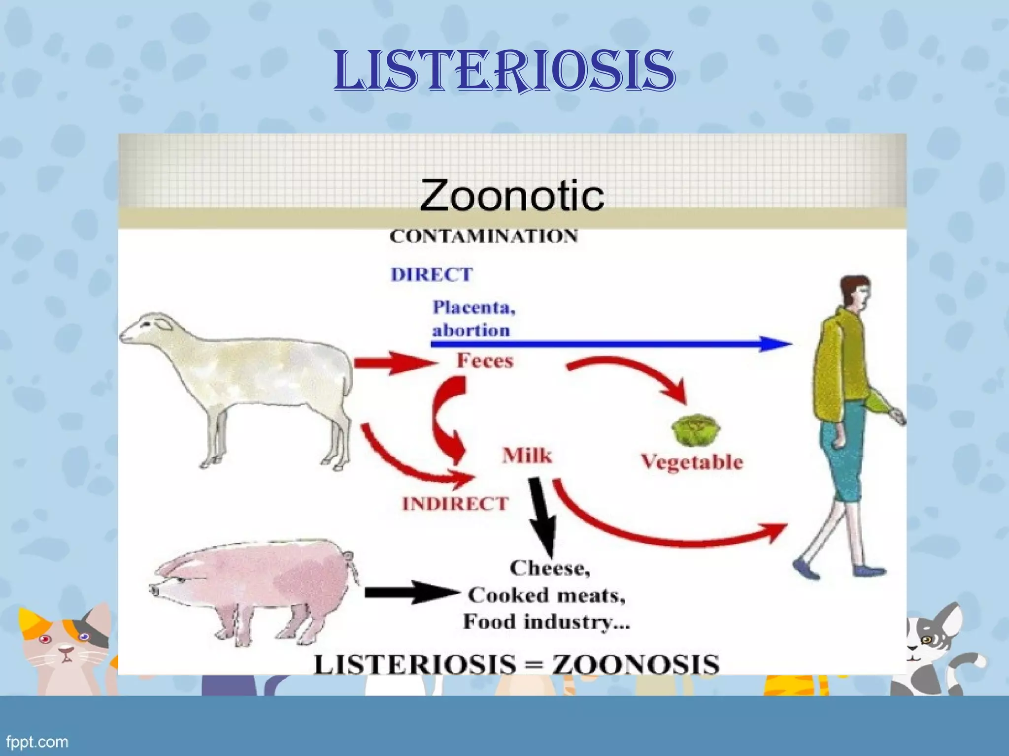 Zoonosis history and bacterial zoonotic diseases | PPT