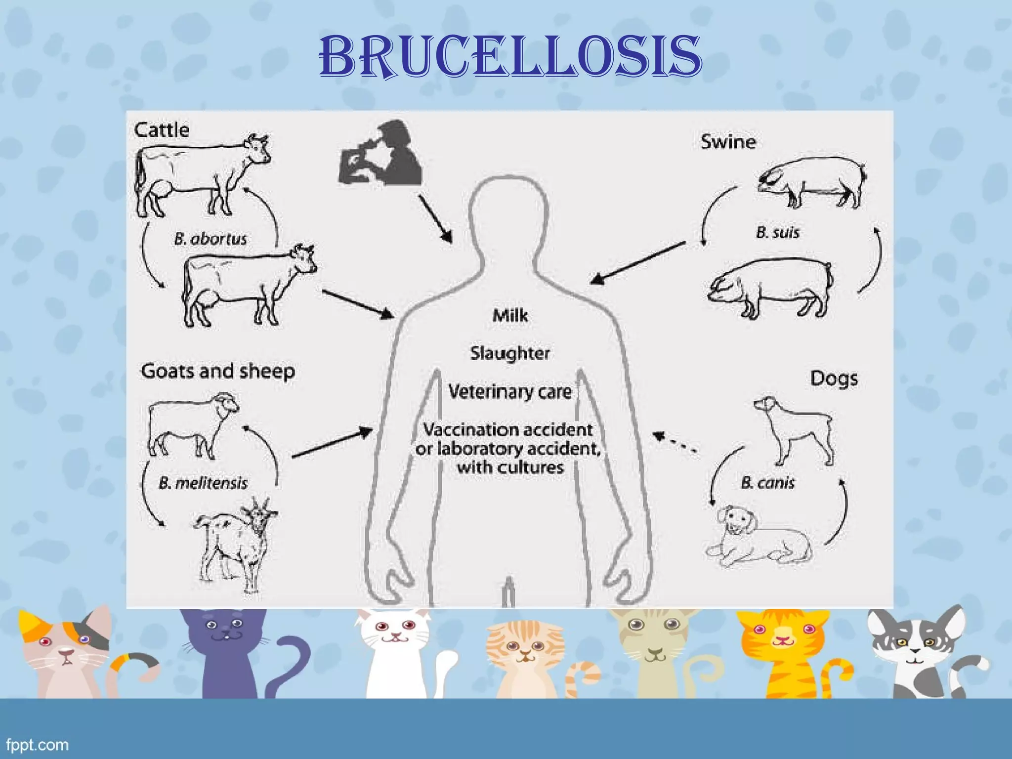 Zoonosis history and bacterial zoonotic diseases | PPT