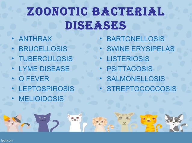 Zoonosis history and bacterial zoonotic diseases | PPT | Infectious Diseases | Diseases and ...