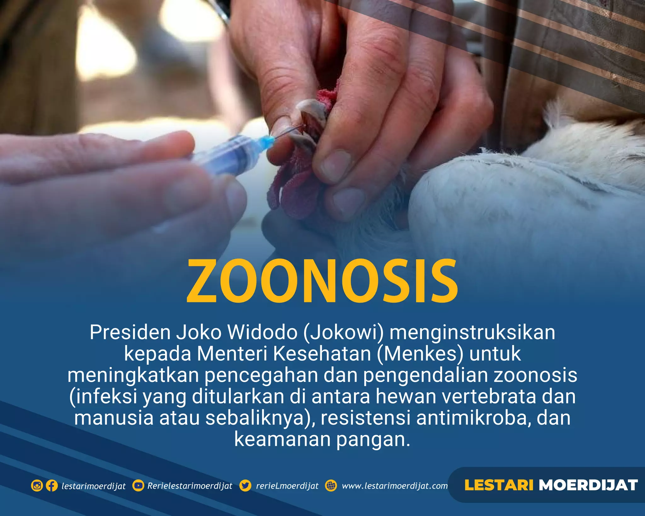 Mengenal apa itu Zoonosis | PDF