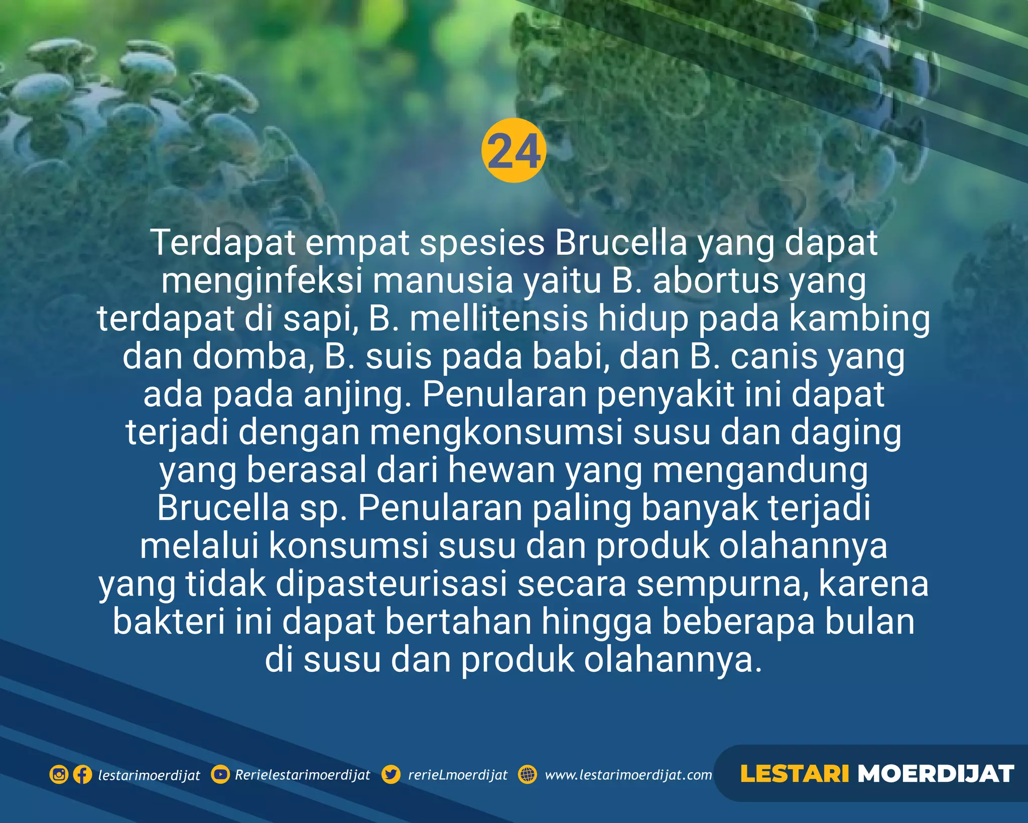 Mengenal apa itu Zoonosis | PDF