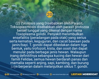 Mengenal apa itu Zoonosis | PDF
