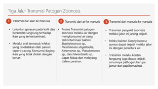 Zoonosis Vanda Delima Warno Putri | PPTX