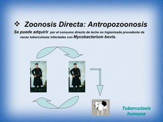 Zoonosis Y Vectores | PPT