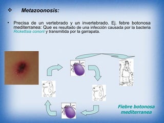 Zoonosis Y Vectores | PPT