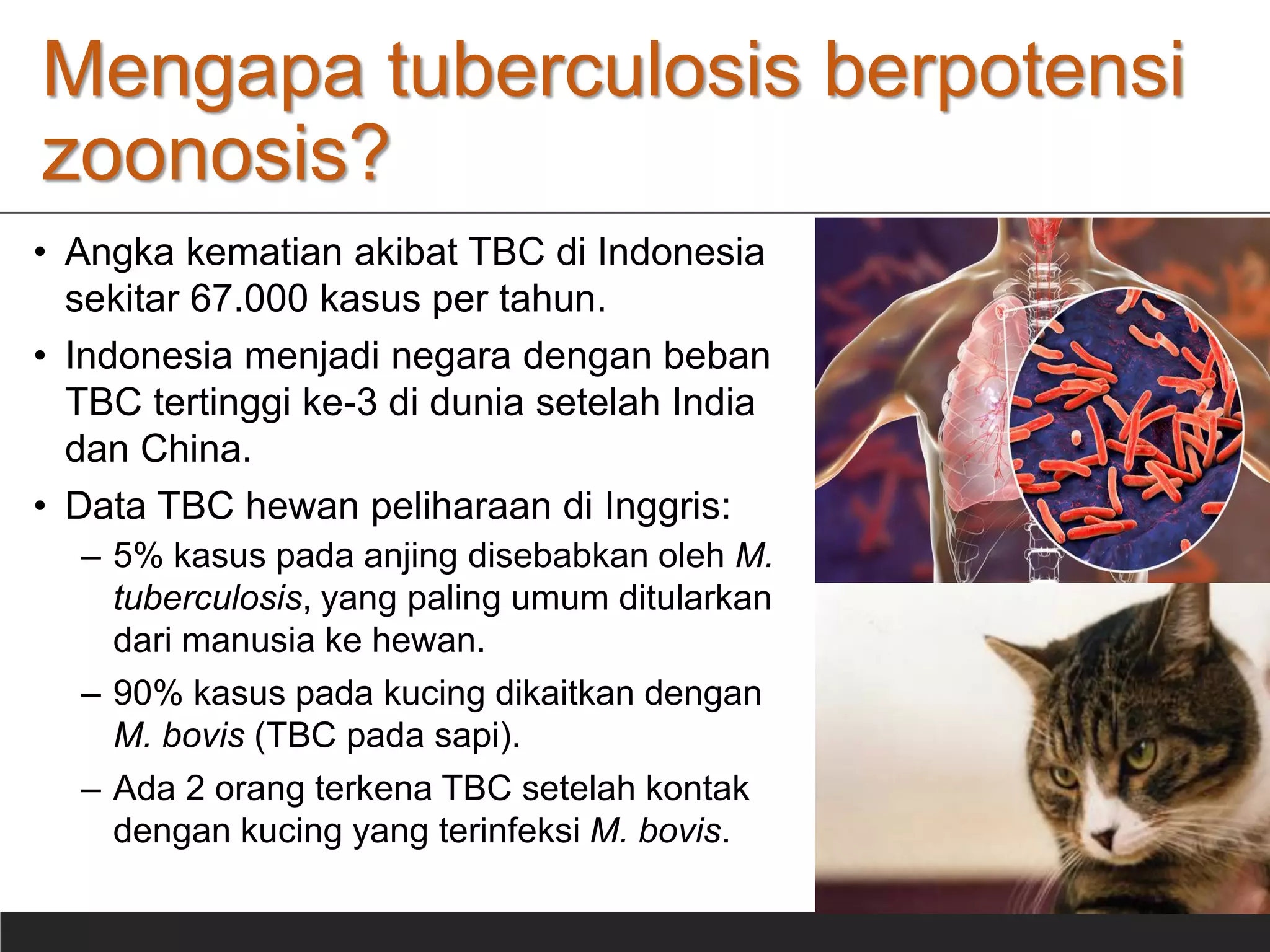 Zoonosis Pada Hewan Peliharaan dan Cara Pencegahannya - World Zoonosis ...