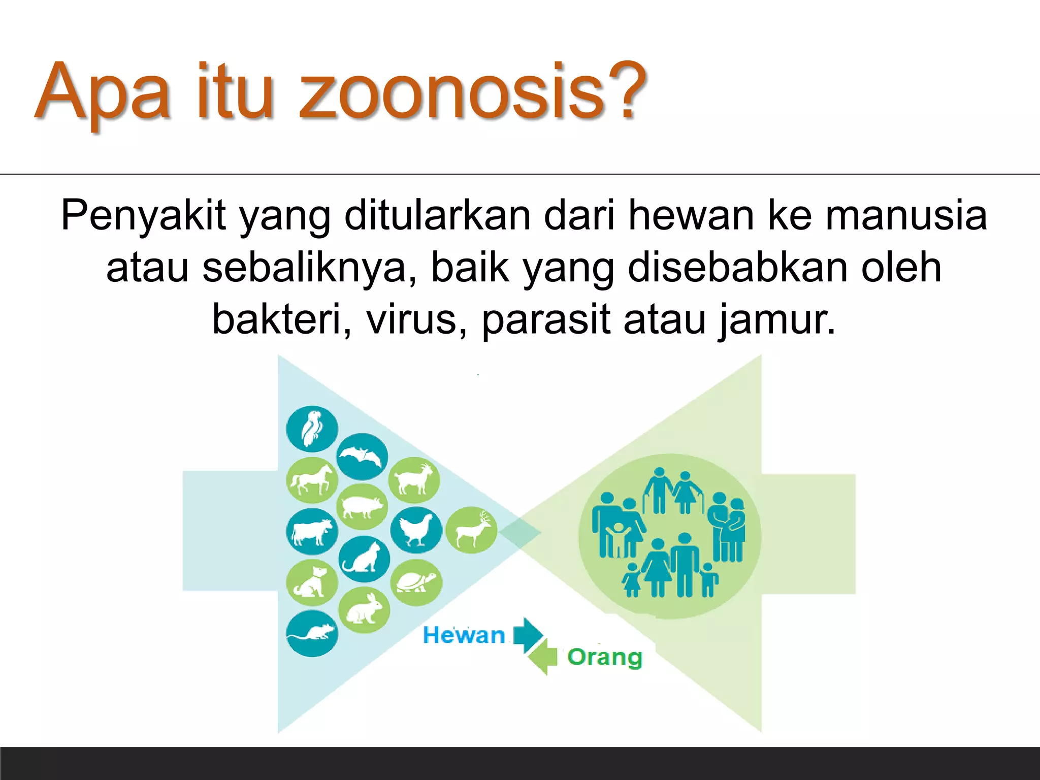 Zoonosis Pada Hewan Peliharaan dan Cara Pencegahannya - World Zoonosis Day, Ditjen PKH, 11 Juli ...