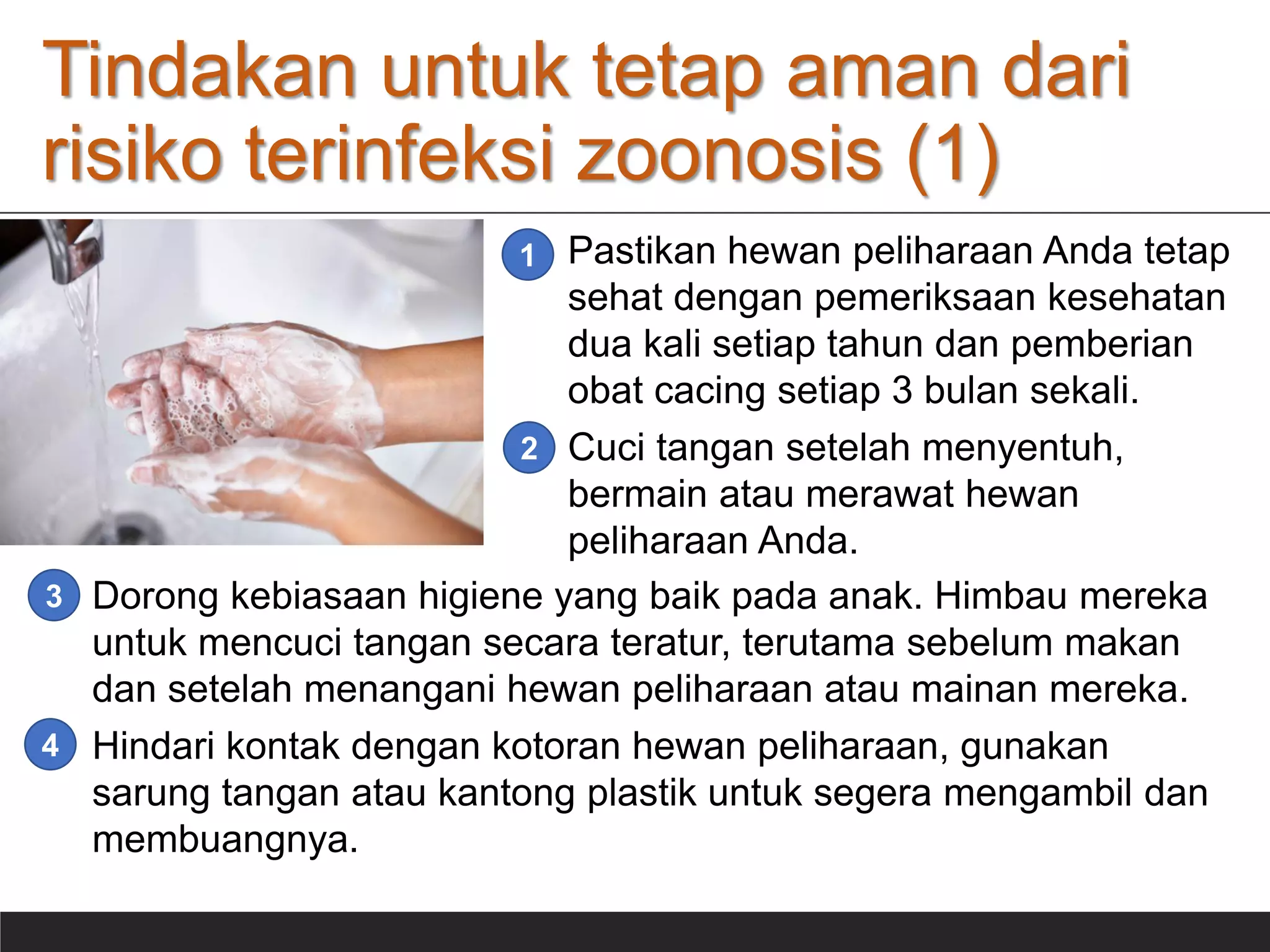 Zoonosis Pada Hewan Peliharaan dan Cara Pencegahannya - World Zoonosis ...
