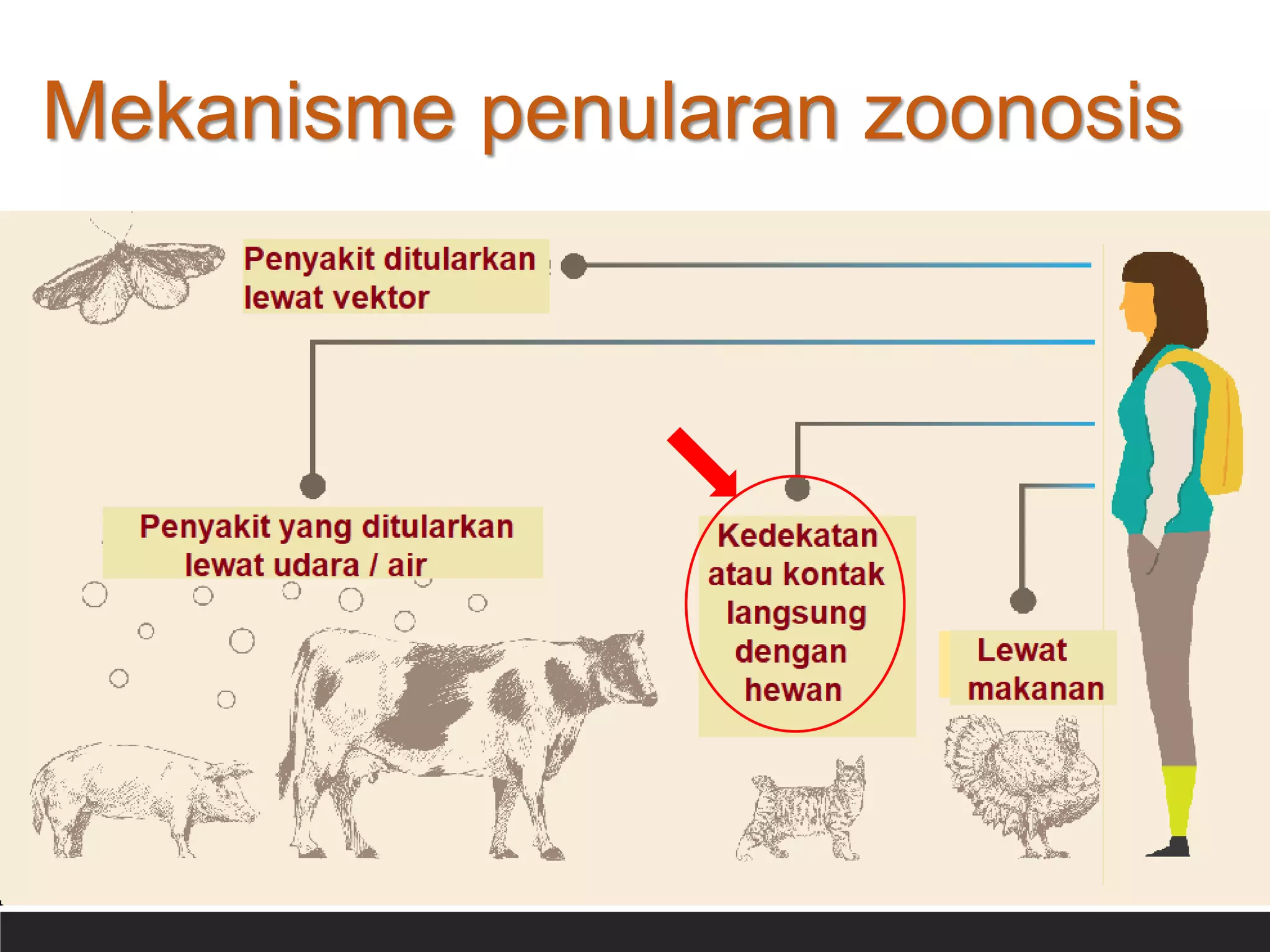 Zoonosis Pada Hewan Peliharaan dan Cara Pencegahannya - World Zoonosis ...