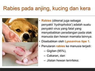 Zoonosis Pada Hewan Peliharaan dan Cara Pencegahannya - World Zoonosis ...