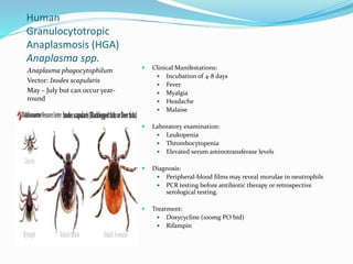 Zoonotic and tick-borne diseases | PPTX | Brain and Nervous System ...