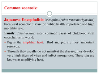 Important Zoonotic disease and its prevention and control By: Dr.Manoj ...