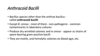 Zoonotic disease-Bacillus anthracis,Rat bite fever (1).pdf