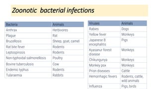 Zoonotic disease-Bacillus anthracis,Rat bite fever (1).pdf