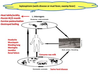 Zoonotic disease pdf | PPT