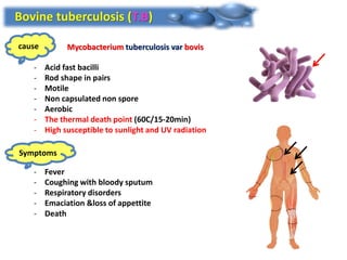 Zoonotic disease pdf | PPT