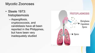 Zoonotic Disease Research and Response in the Philippines.pptx