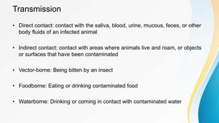Zoonotic Disease Research and Response in the Philippines.pptx