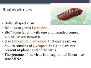 Zoonotic diseases | PPTX
