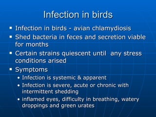 Zoonotic Diseases By Imran | PPT