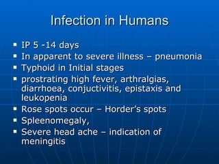 Zoonotic Diseases By Imran | PPT