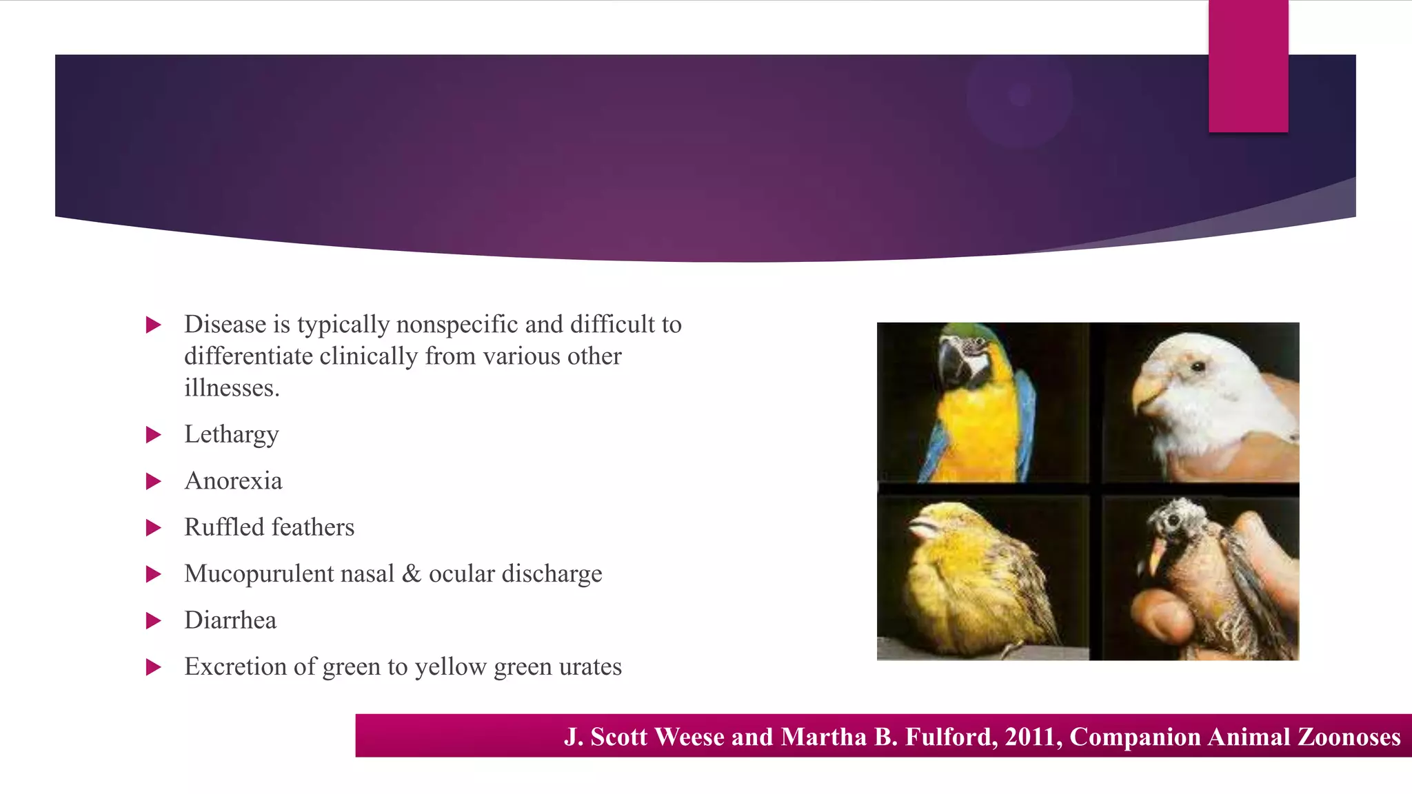 Bacterial Zoonotic diseases of pets | PPSX