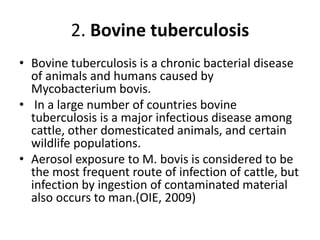 Zoonotic infection | PPTX