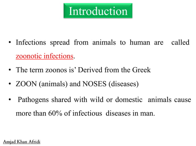 Zoonotic Infection.pptx