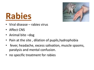 zoonotic infection.pptx for students education | PPTX