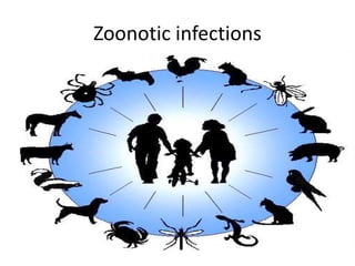 Zoonotic infections | PPTX