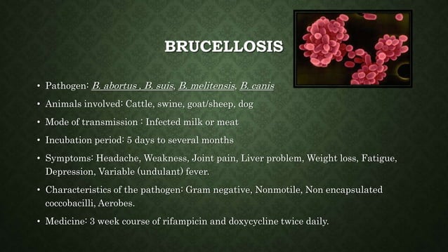 Zoonotic infections | PPTX | Infectious Diseases | Diseases and Conditions