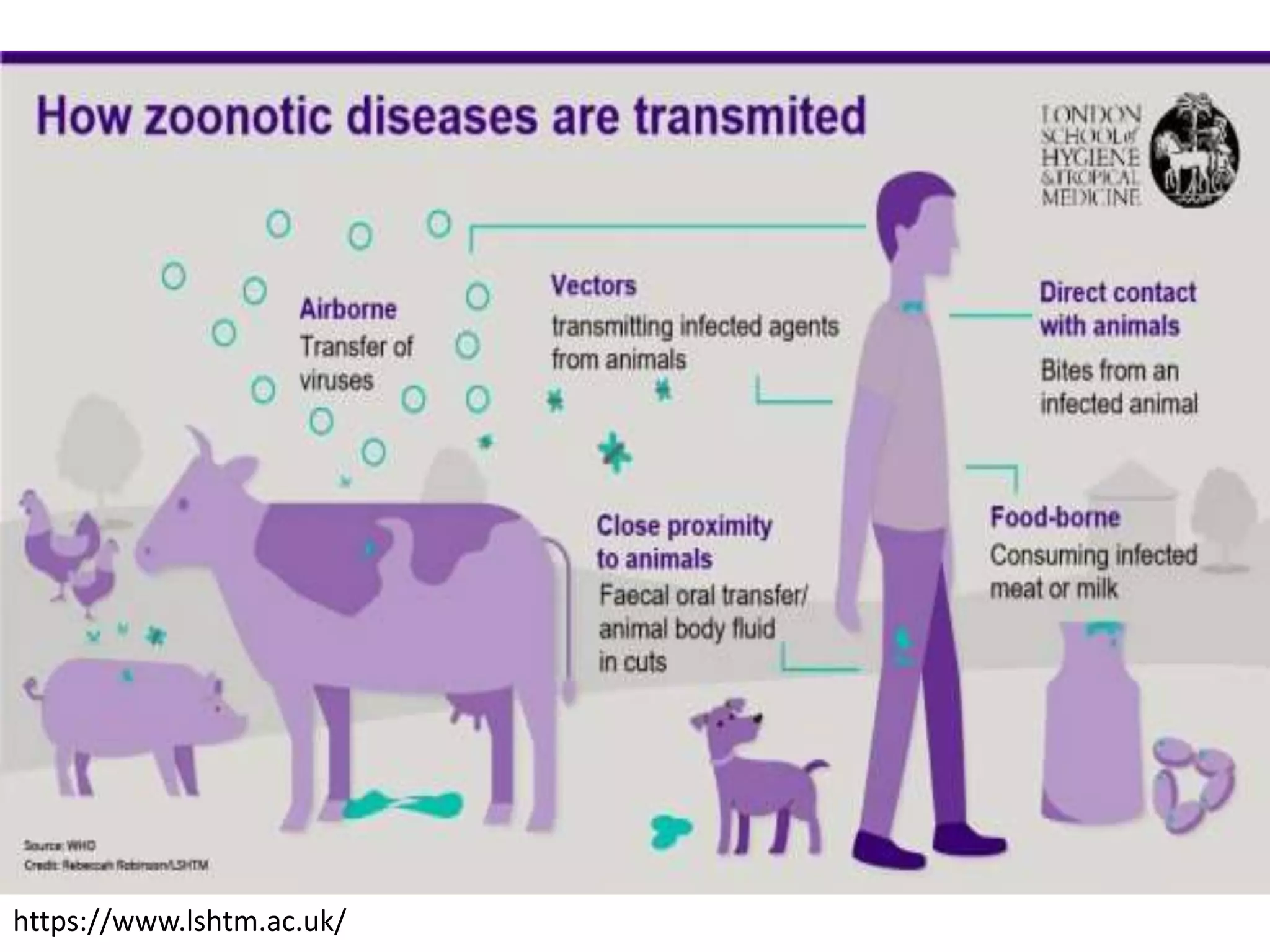 Zoonotic infections Case-Based Session | PPTX