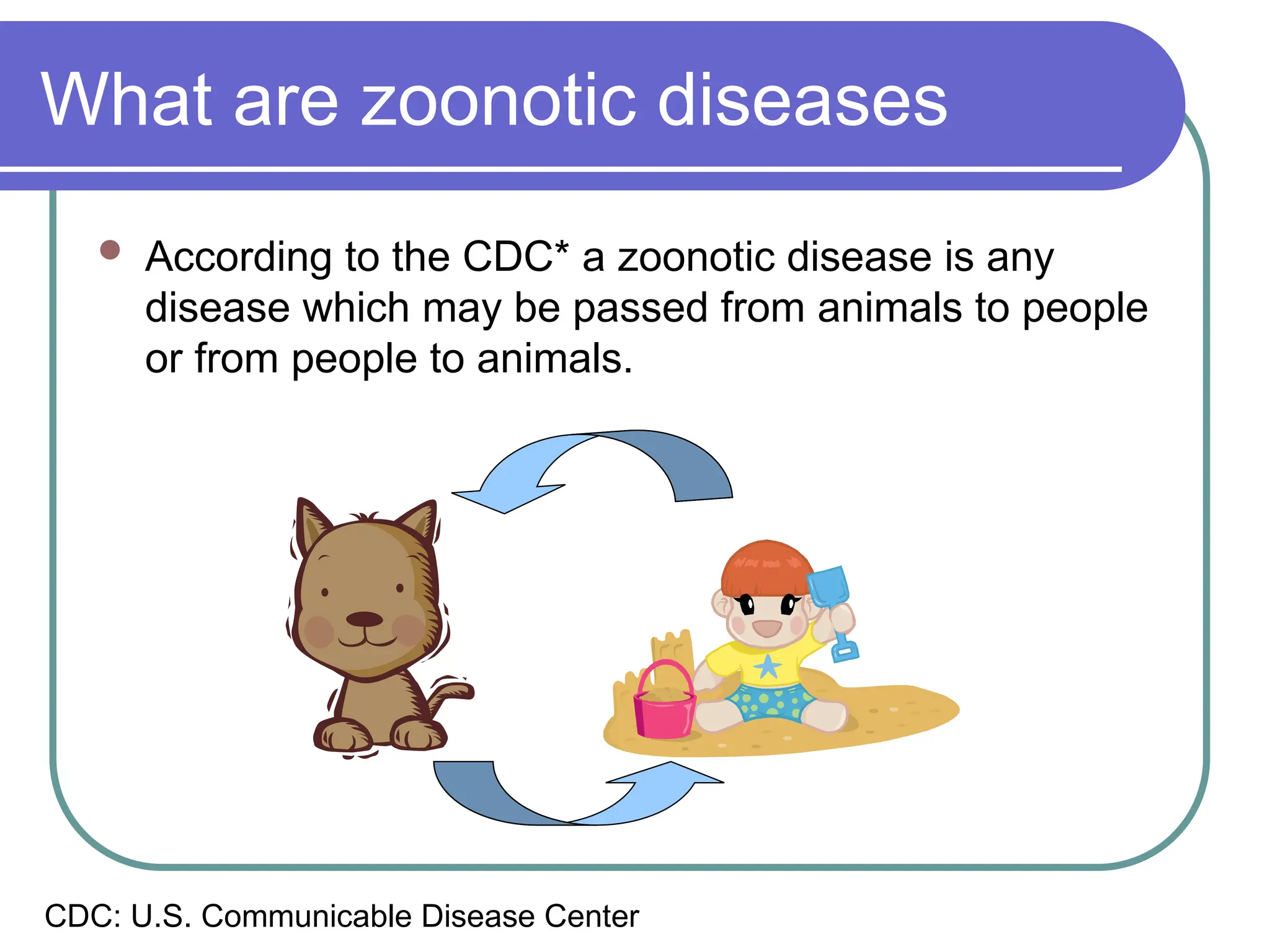 Zoonotic Parasites information bests.ppt