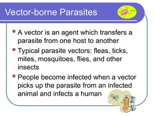 Zoonotic Parasites information bests.ppt