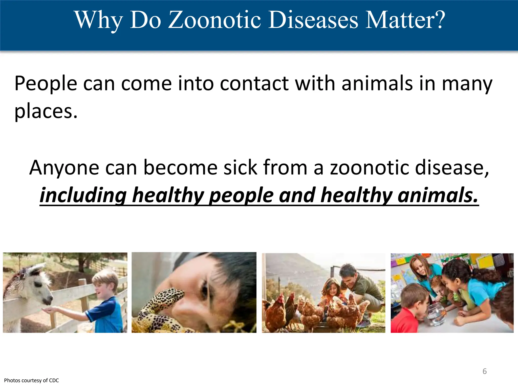 Zoonotic Diseases | PPTX