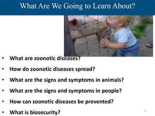 Zoonotic Diseases | PPTX | Infectious Diseases | Diseases and Conditions
