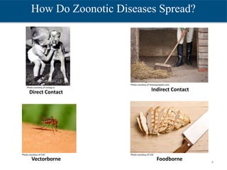 Zoonotic Diseases | PPTX | Infectious Diseases | Diseases and Conditions