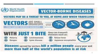 Zoonotics and vector borne diseases | PPTX