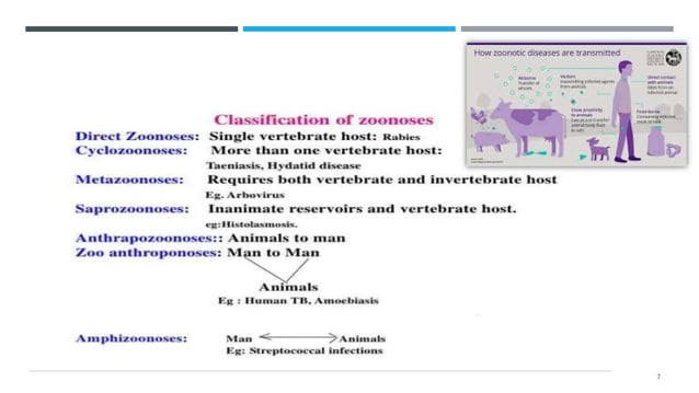 Zoonotics and vector borne diseases | PPTX