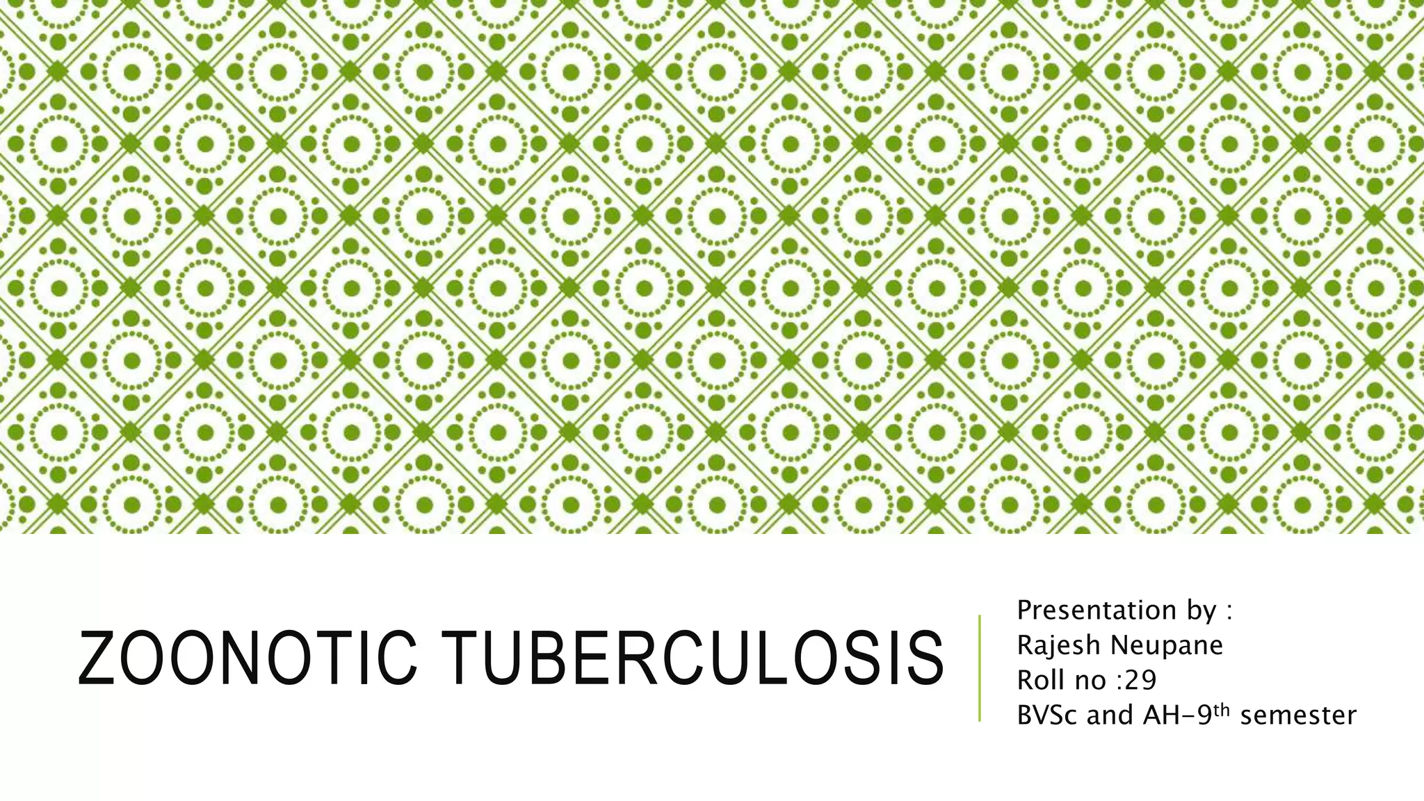 Zoonotic tuberculosis | PPTX